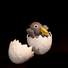 Gans der Bär Tickets - Ticketcorner